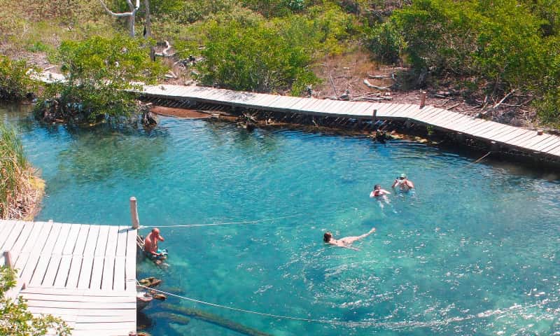 Cenote Yalahau Holbox 🏊‍♂ | Holbox Island